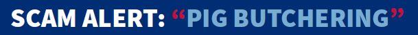 FDIC OIG Homepage | Federal Deposit Insurance Corporation OIG